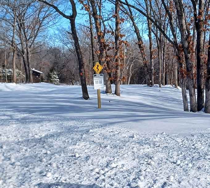 Winter transforms the park into a serene wonderland where silence becomes its own spectacular attraction.