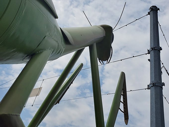 Looking up at those segmented legs and delicate joints, you realize someone really did their entomology homework here.