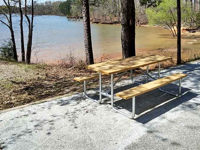 Every picnic table should come with a lake view this stunning, but most don't, so appreciate this one.