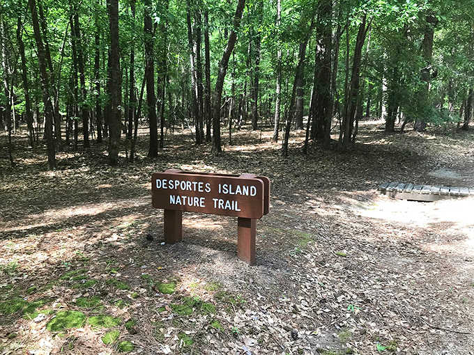 Desportes Island Nature Trail beckons hikers who prefer their exercise with scenery instead of gym mirrors.
