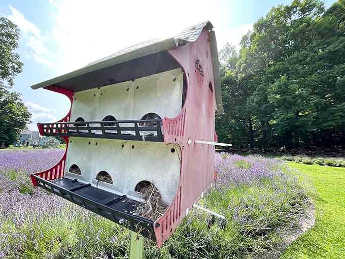 This whimsical birdhouse adds character to the fields, because even birds deserve lavender-scented real estate.