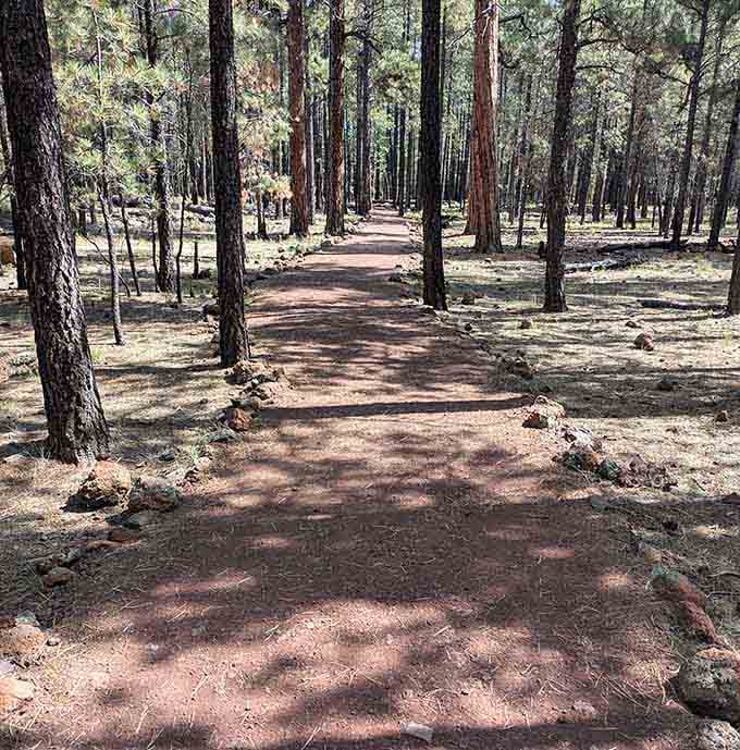 A peaceful forest path leads you closer to the cave, giving no hint of the subterranean wonder ahead.