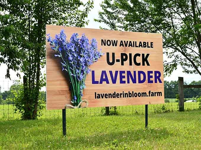 The sign that launches a thousand Instagram posts and makes your GPS actually worth the subscription.