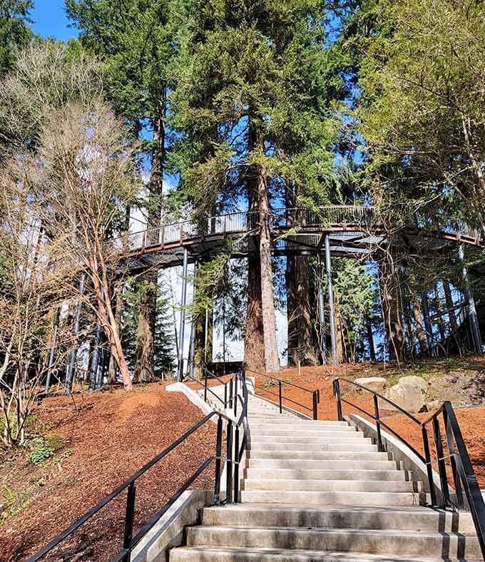 Stairs lead up to the elevated walkway, inviting you to see the forest from a whole new perspective.