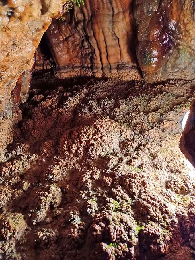 Cave popcorn formations cluster on the walls, though they're considerably less buttery than the movie theater variety.