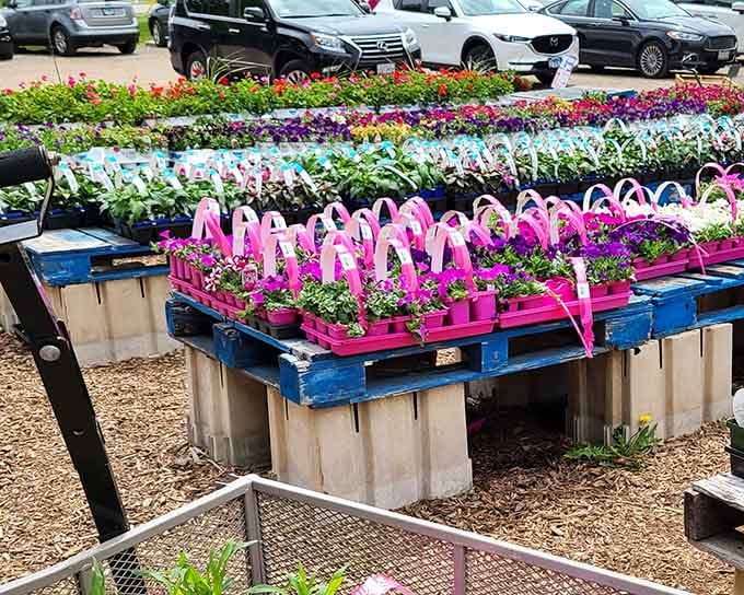 Hanging baskets so vibrant and full they make your home garden attempts look like a participation trophy effort.