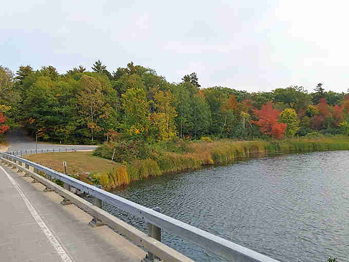 Early autumn whispers its arrival along the shoreline, painting previews of the spectacular show coming soon to these woods.