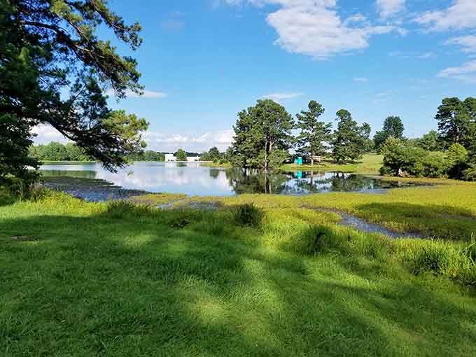 Tranquil lakeside moments that remind you why humans have always been drawn to water's edge.