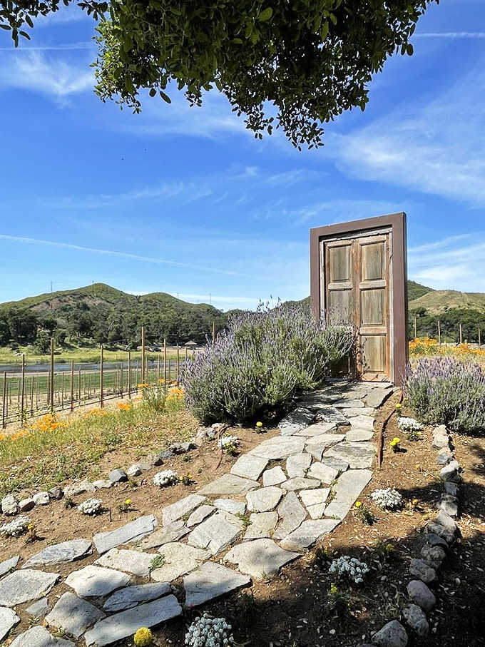 A door to nowhere surrounded by lavender is either profound philosophy or excellent Instagram bait.
