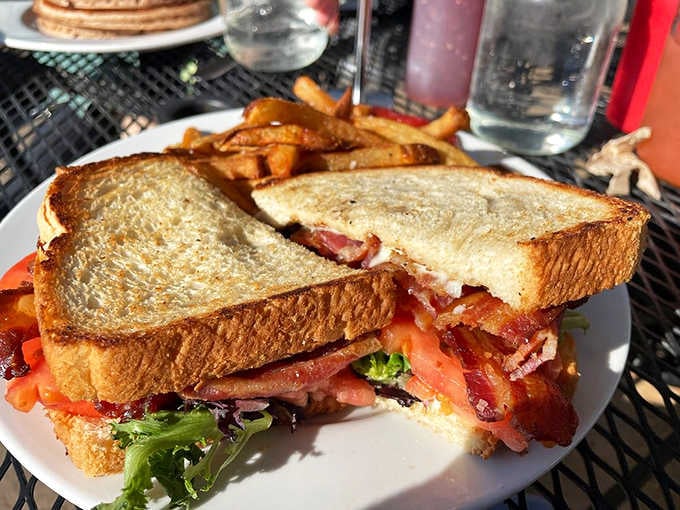 This BLT sandwich with crispy fries proves lunch here rivals breakfast for pure comfort food excellence.