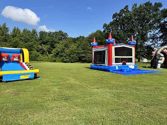 Because grandkids need entertainment, and inflatable castles beat staring at phones any day of the week.
