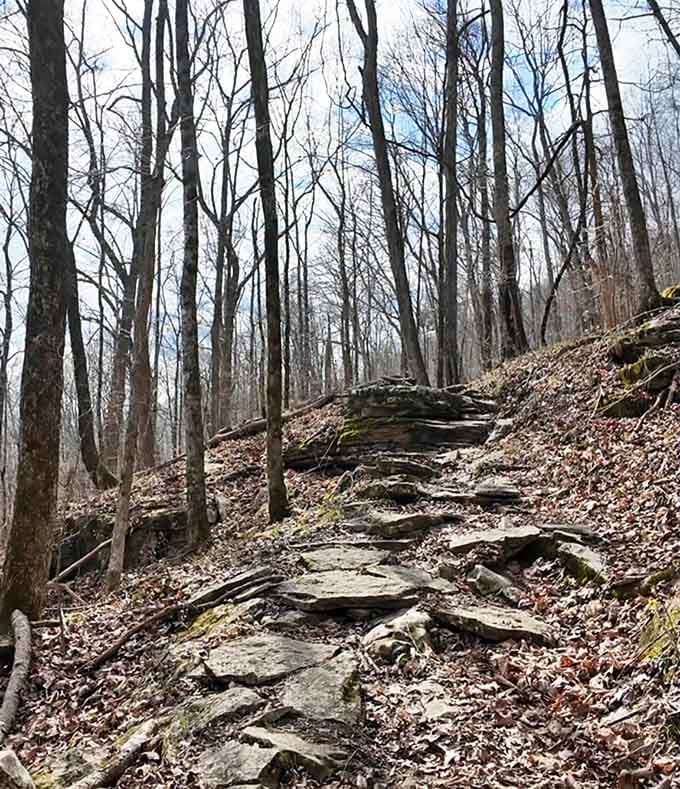 Stone steps carved by time and weather, creating a natural staircase that's been here since before stair-climbers were invented.