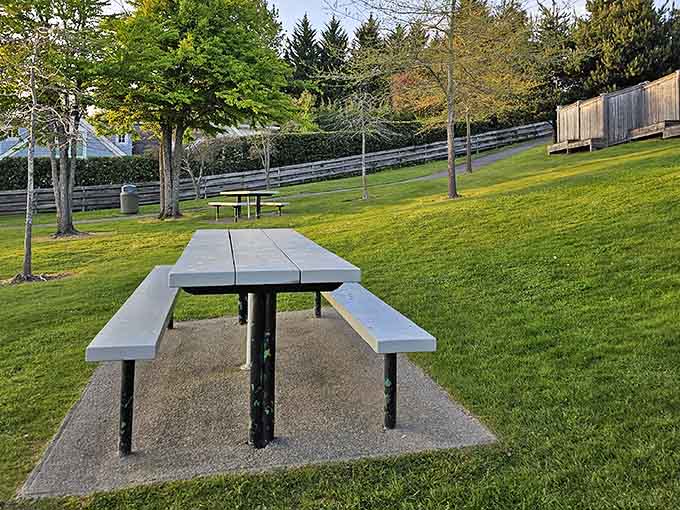 Pack a lunch, grab this table, and suddenly you're living your best lakeside life without even trying.