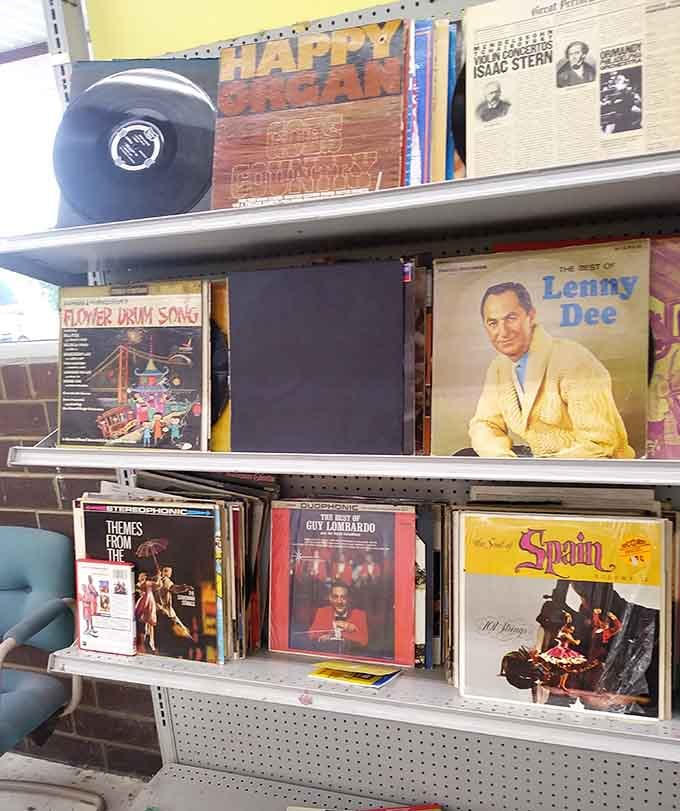 Vinyl records spinning tales of musical history, from crooners to rock legends, all waiting for rediscovery time.