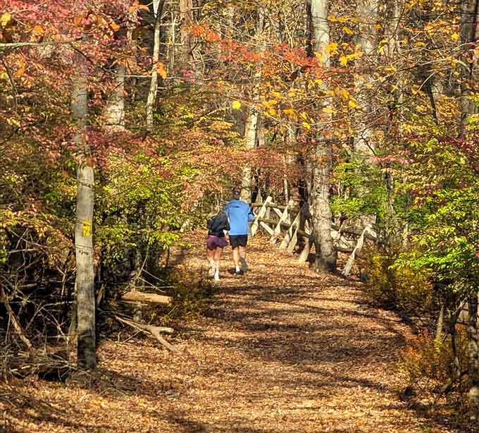 Autumn hikers chase the light through trees that put on a better show than most Broadway productions.