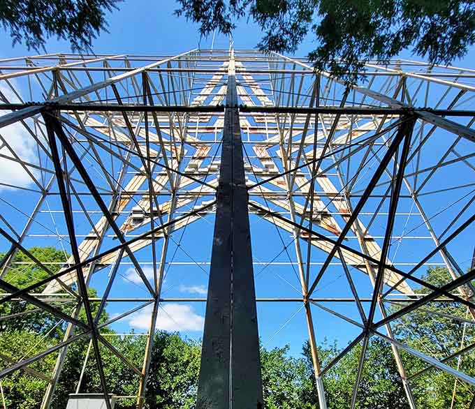 Standing beneath this towering structure makes you feel wonderfully small yet somehow connected to something much bigger.