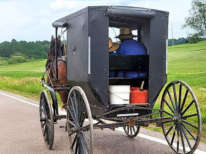 Black buggies share the road with modern cars, creating a traffic situation your GPS definitely wasn't programmed to handle properly.
