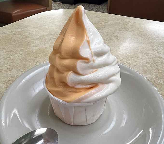 Soft-serve ice cream swirled high and proud, because sometimes simple pleasures are the ones that matter most in life.