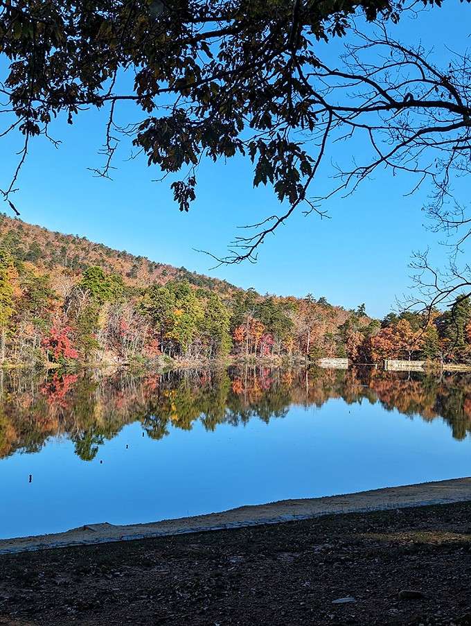 The park's lake mirrors fall colors so perfectly, you'll wonder if you're seeing double or just really good scenery.