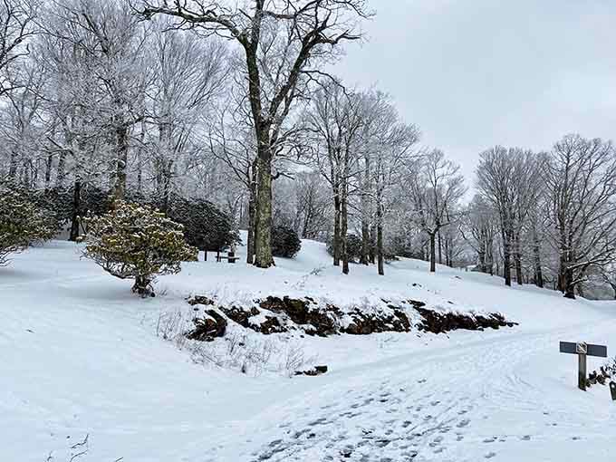 Winter transforms the estate into a scene so pristine, you'll forgive the cold for existing.
