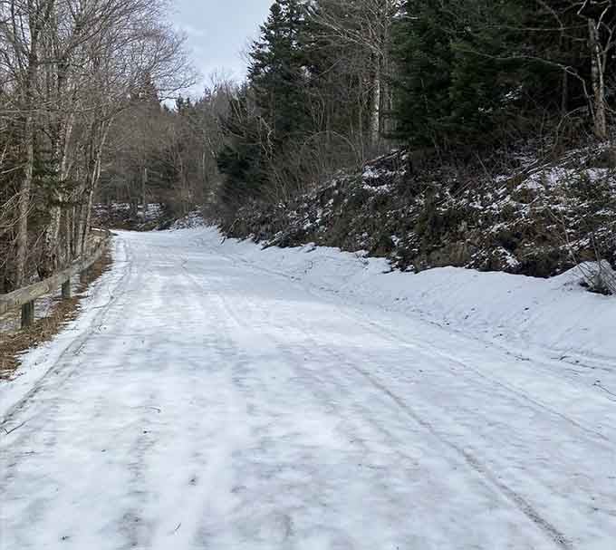 Winter transforms the summit road into a snowy passage that looks straight out of Narnia.