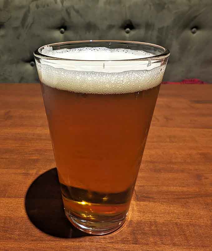 A perfectly poured craft beer catching the light—your reward for finally understanding those complicated game rules.