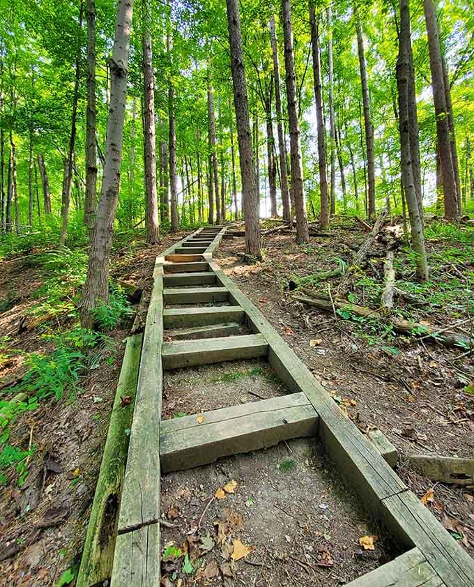 These steps lead upward through the forest, promising views and that satisfying feeling of mild accomplishment.