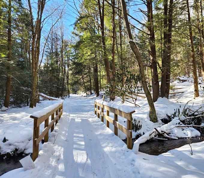 Winter transforms the trails into a snowy wonderland that makes you forget about shoveling your driveway back home.
