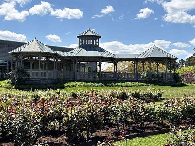 This elegant pavilion overlooks rose beds that bloom like clockwork, proving nature appreciates a good schedule too.