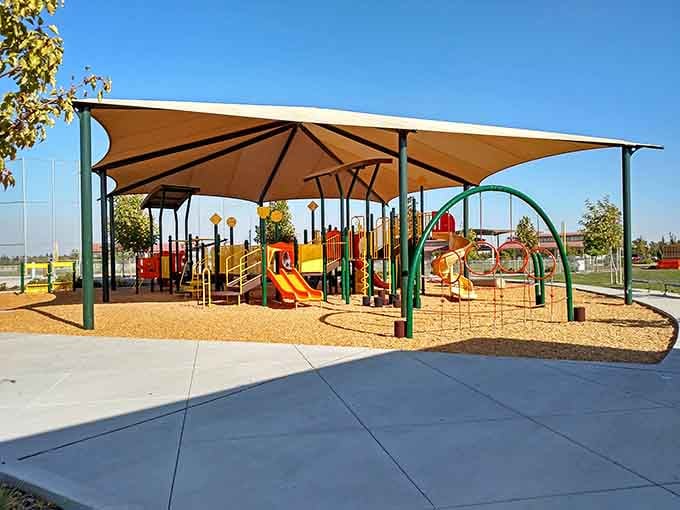 Shaded playground equipment that'll have your grandkids forgetting their tablets exist for at least three glorious hours.