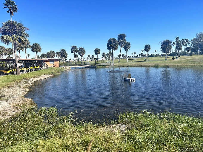 The fishing pond offers peaceful moments and the chance to catch dinner or at least a good story.