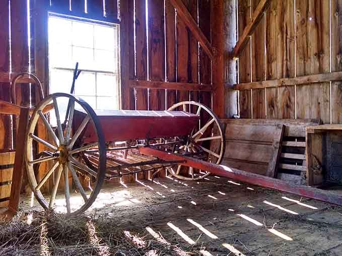 That vintage farm equipment required serious muscle power, making your gym membership look pretty unnecessary by comparison.