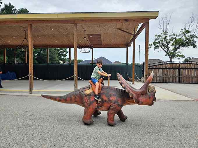 Saddle up on a triceratops for the ride of your life, because why shouldn't dinosaurs join the rodeo?
