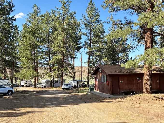 Coyote Ridge Campground sits among ponderosa pines, offering front-row seats to sunsets that make you forget your streaming subscriptions exist.