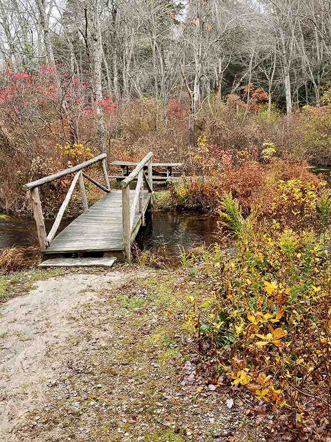 This charming wooden bridge looks like it belongs in a storybook, minus the trolls and with better accessibility.