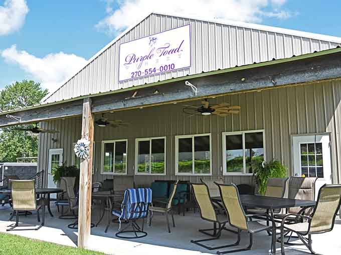 Purple Toad proves Kentucky does more than bourbon, though they handle the distilling part pretty well too.