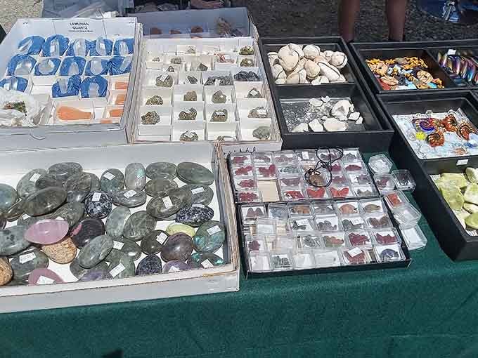 Rocks, minerals, and crystals sparkle like nature's own jewelry box opened for curious collectors.
