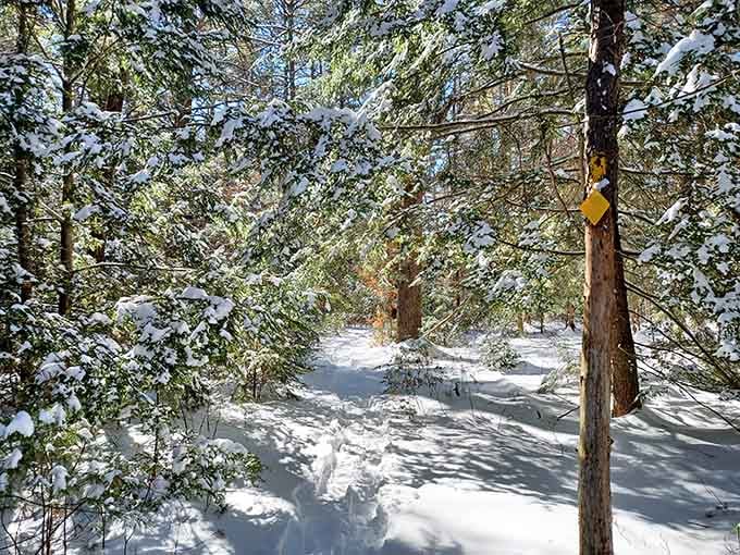 Winter transforms the trails into a peaceful wonderland for those brave souls who own proper boots.