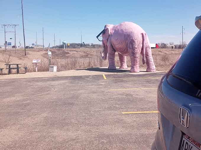 The parking lot view that makes you question reality while simultaneously reaching for your camera phone.