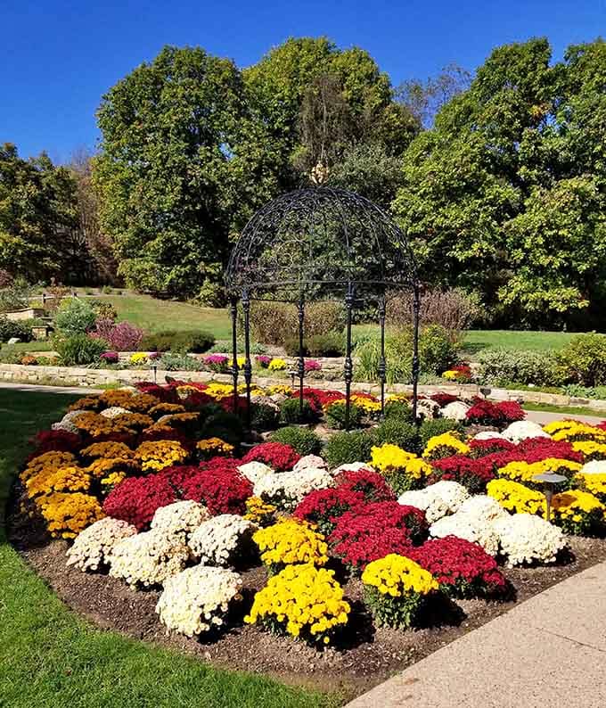 Mums in fall colors create a living quilt that would make any grandmother proud of this floral arrangement.