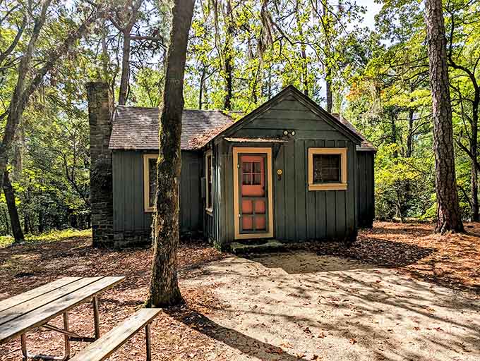 These cozy cabins offer a roof and walls for campers who appreciate nature but also appreciate indoor plumbing.