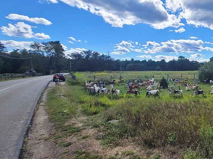 A mysterious herd of rocking horses gathers in a quiet field, delighting visitors who stop by this whimsical roadside curiosity.