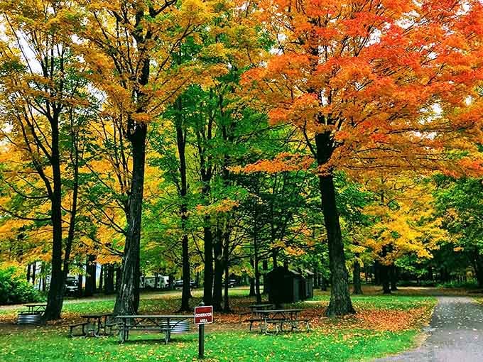 Picnic spots don't get much better than this – nature's dining room with five-star views included free.