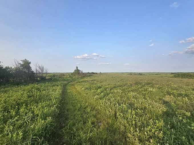 The visitor center welcomes you to a landscape most Missourians forgot existed in their own backyard.