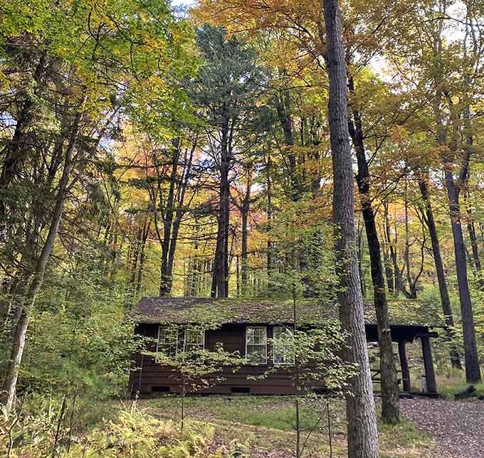 These cozy cabins offer just enough comfort without the pretense, perfect for reconnecting with what matters most.