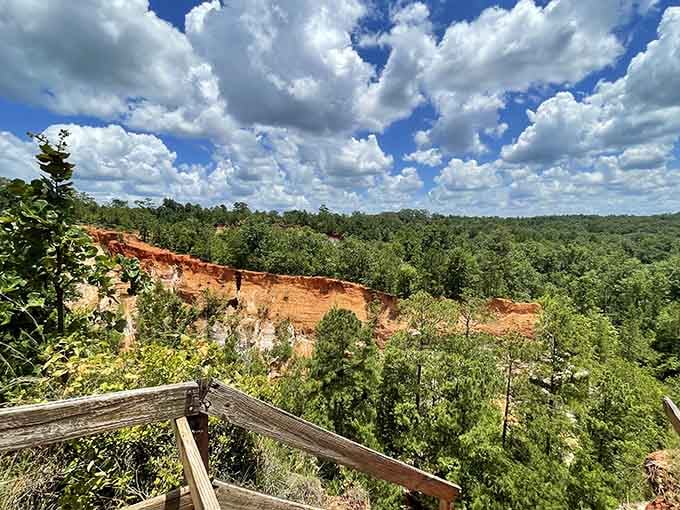 Nature's grand canyon carved in russet earth—where Georgia's red clay meets endless green under billowing summer clouds.