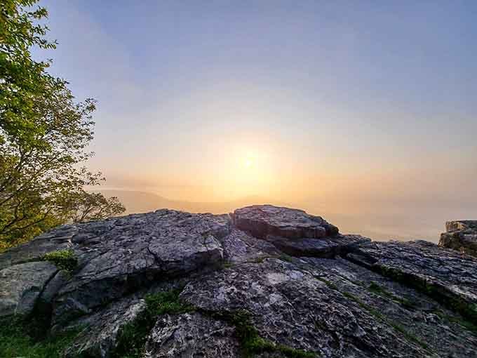 Sunrise transforms ordinary rock into something magical, painting the valley in colors your camera can't quite capture.