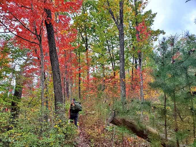 Walking among autumn's paint palette of reds and greens, you half expect Bambi to wander past any second.