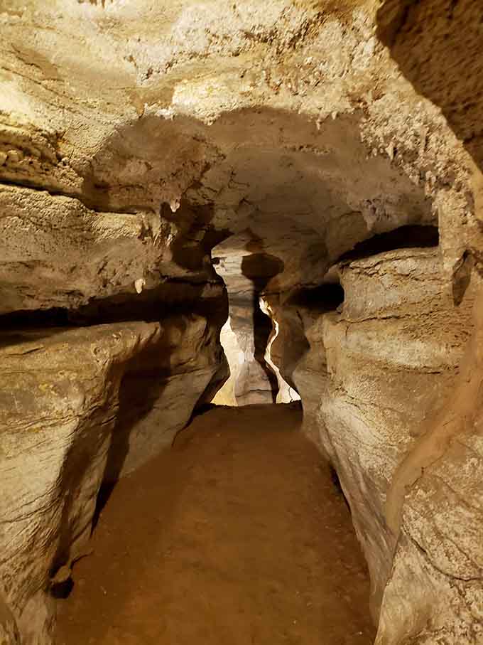 Narrow passages reveal the cave's artistic side, with walls sculpted smooth by water's patient, persistent touch over millennia.