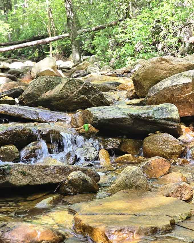 Small cascades tumble over rocks, creating nature's own meditation soundtrack for weary hikers passing by.